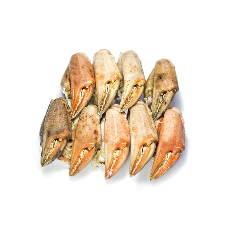 BOCAS – Pescados y Mariscos Antonio